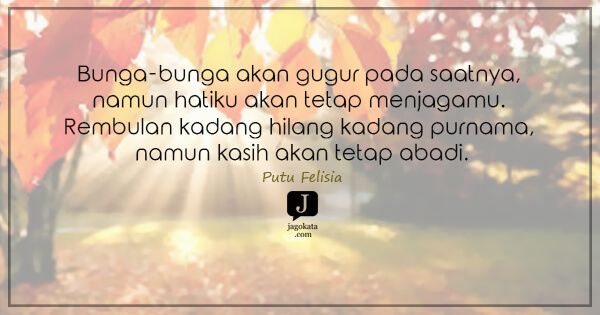 29 Kata-kata Bijak sama gugur: Kata bijak, kutipan dan ucapan ...