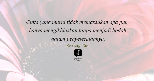 8 Kata-kata Bijak sama mengikhlaskan: Kata bijak, kutipan dan ucapan ...